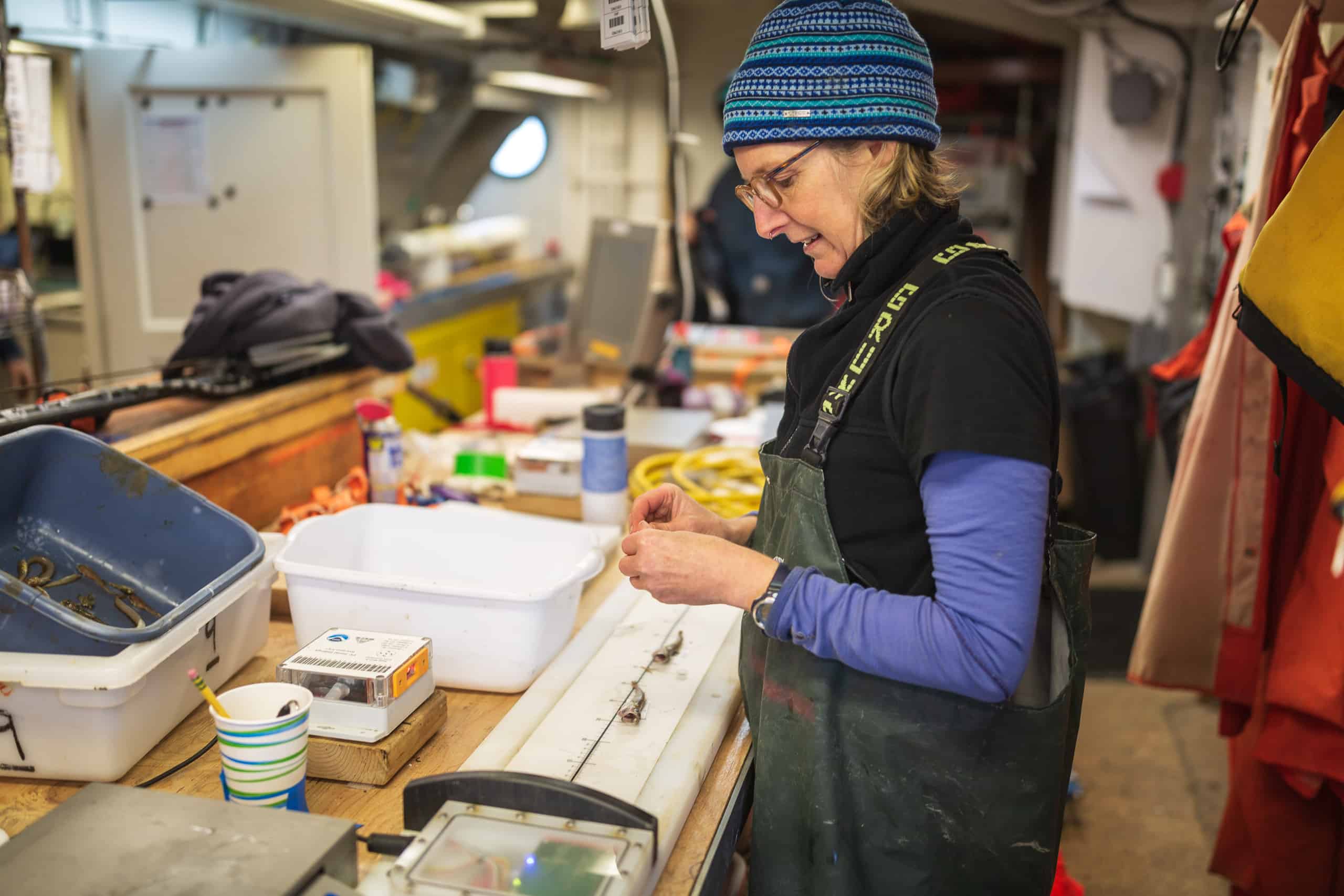 North Pacific Research Board | Bering Sea Project