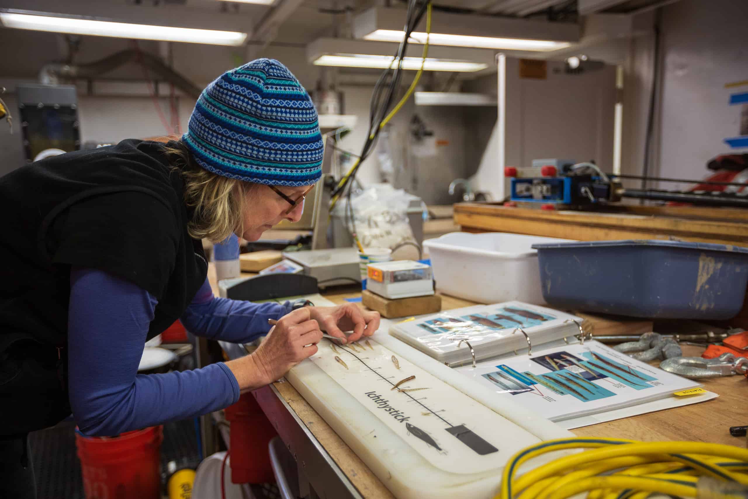 North Pacific Research Board | Arctic Program