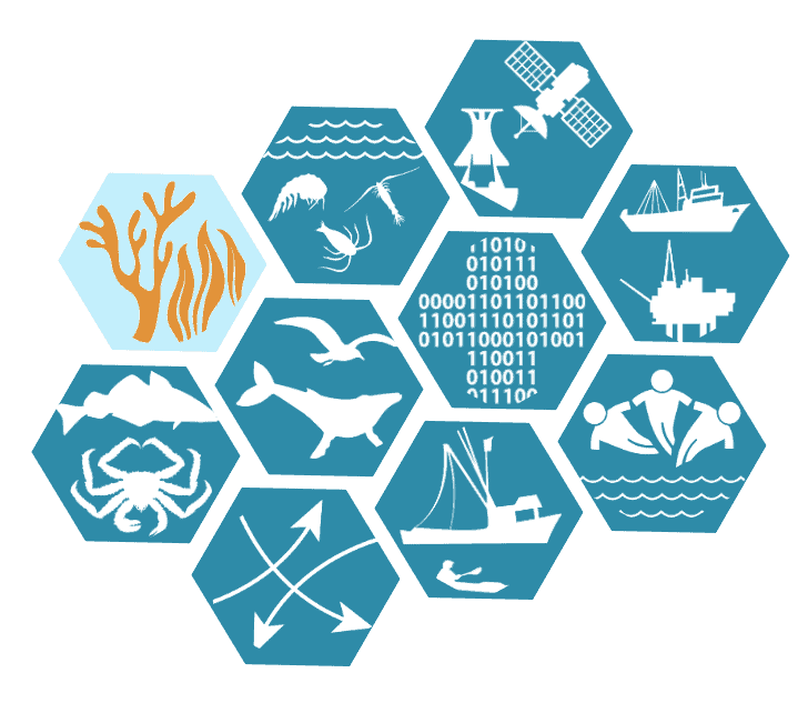 Marine Ecosystem Dynamics | Marine Biome Science & Research