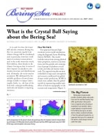 The Bering Sea Research Project | Deep Sea Research | NPRB