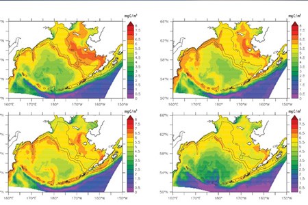 North Pacific Research Board | Bering Sea Project